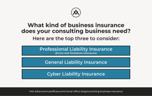 Securing Your Consulting Business: The Essential Guide to Business ...